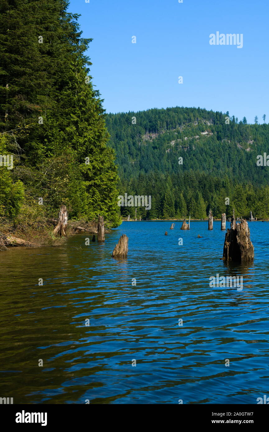 Stave lake bc hi-res stock photography and images - Alamy