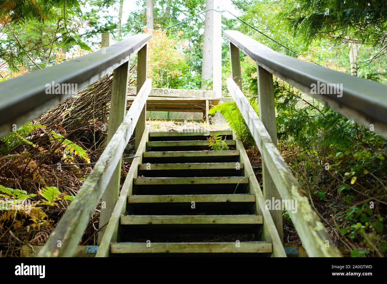 Wooden stairs to the beach hi-res stock photography and images - Alamy