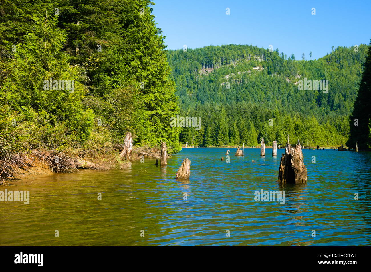 Stave Lake in Mission, British Columbia, Canada Stock Photo - Alamy