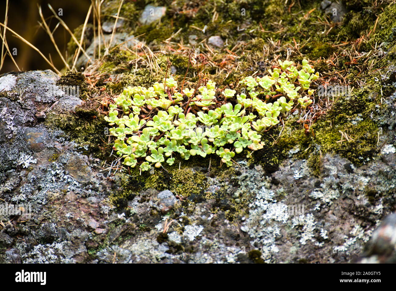 Boulder life hi-res stock photography and images - Alamy
