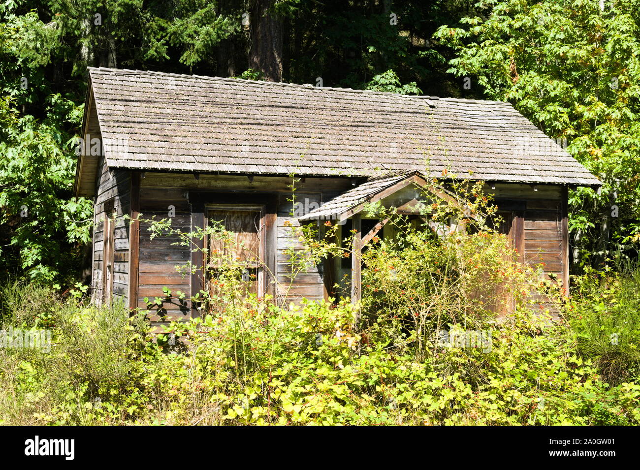 Cabin ruins hi-res stock photography and images - Alamy
