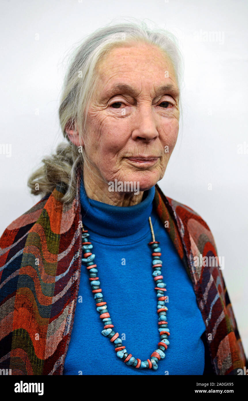 Jane goodall portrait hi-res stock photography and images - Alamy