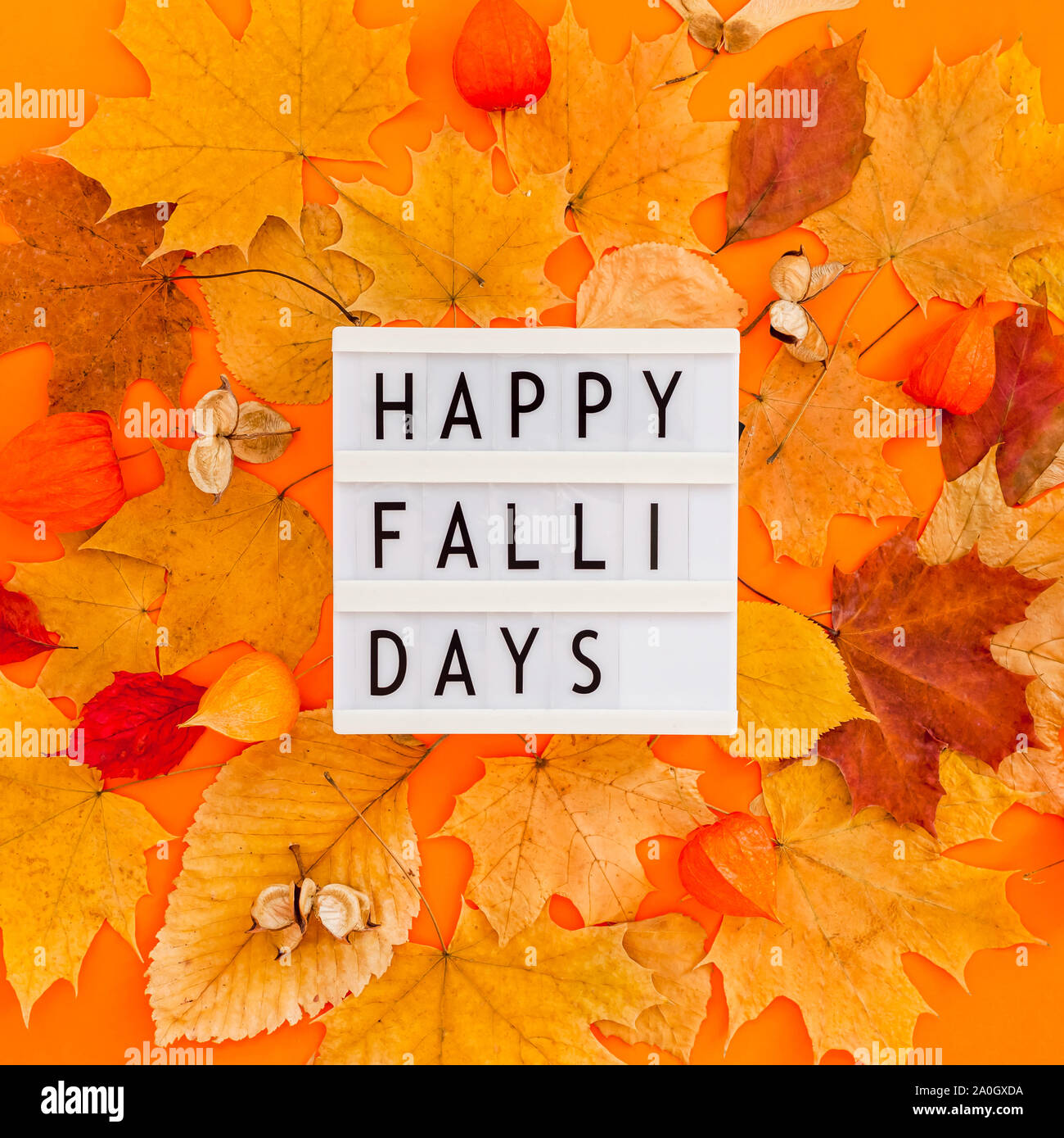 Fallidays hi-res stock photography and images - Alamy