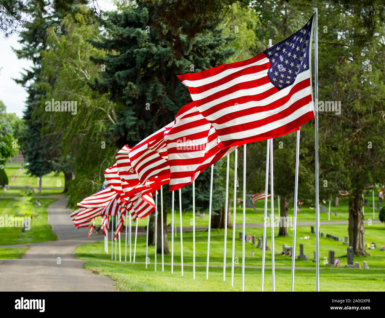 Flags waiving on a nice row at a cemetary Stock Photo - Alamy