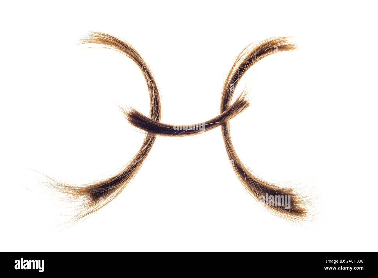 Hirsute woman hi-res stock photography and images - Alamy