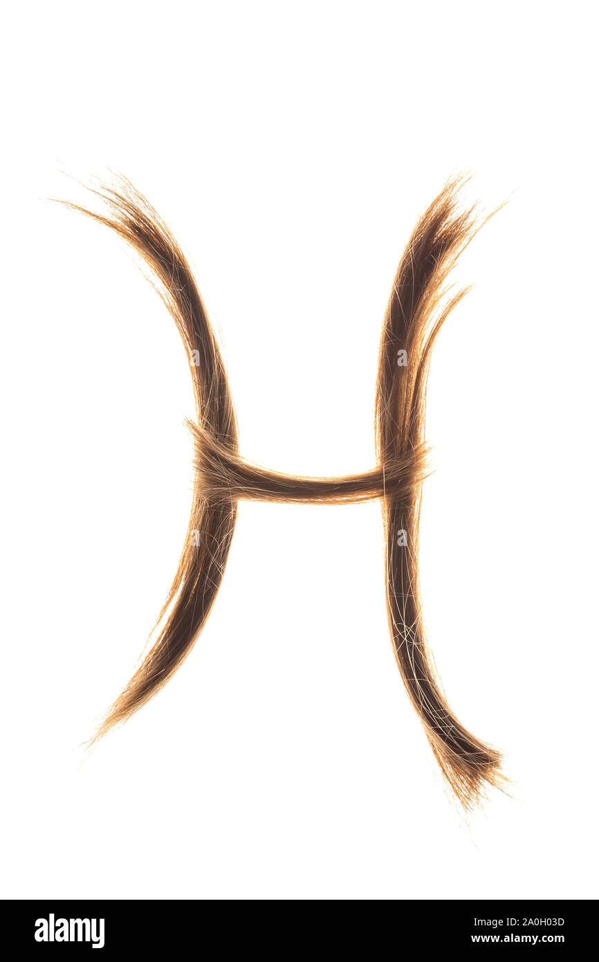 Letters Made From Woman Hair Capital H Isolated On White Background letters-made-from-woman-hair-capital-h-isolated-on-white-background