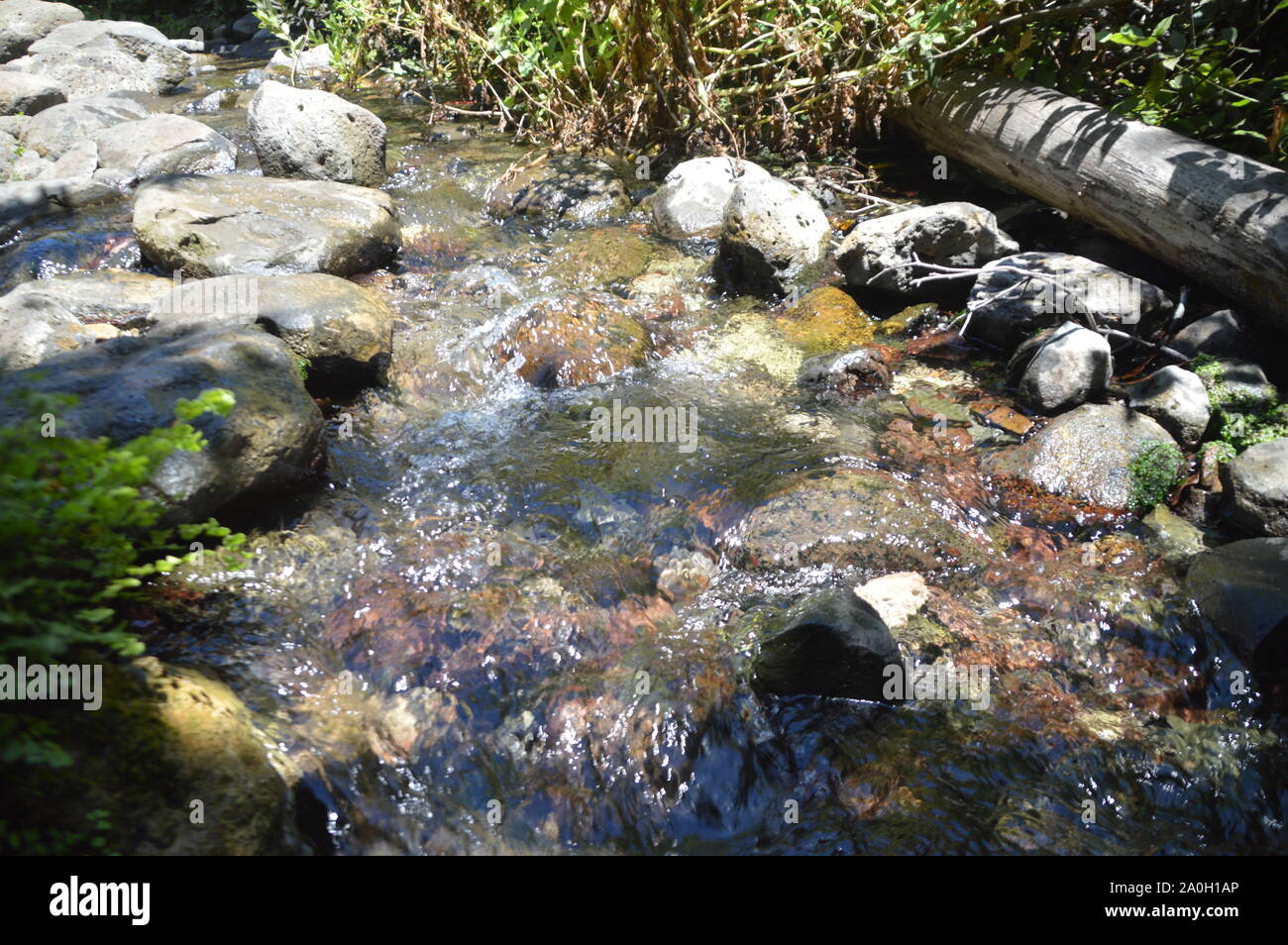 Hiking in the nature Stock Photo - Alamy