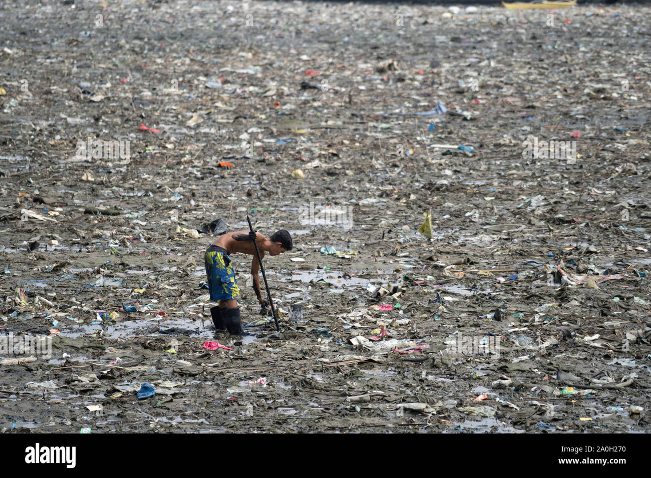 A man digging for worms that he can use for fishing. The surrounding ...