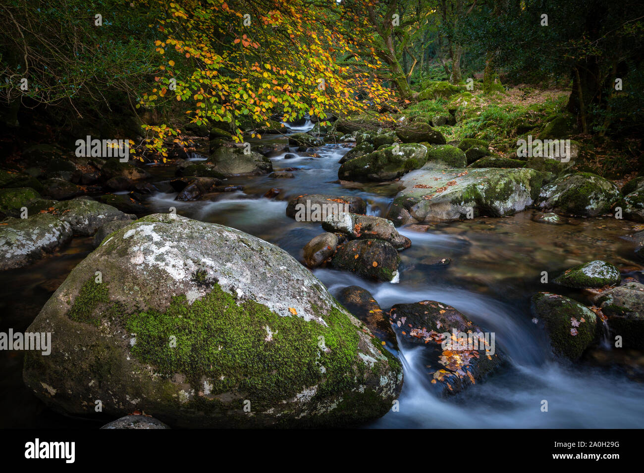 Shaugh Prior Dewerstone and river Plym Dartmoor national park with ...