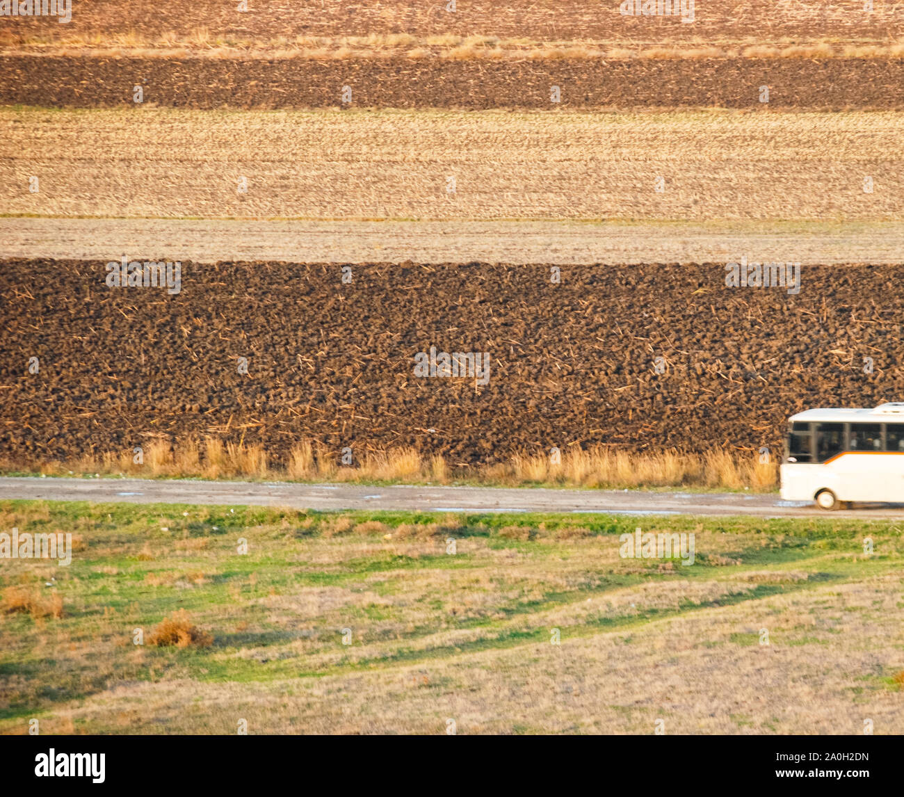 The white bus traveling on the road in a rural landscape Stock Photo ...