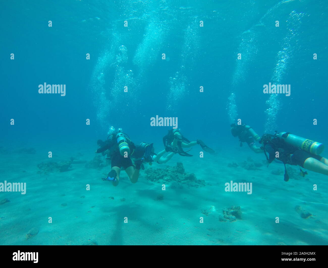 People diving on rocks hi-res stock photography and images - Alamy
