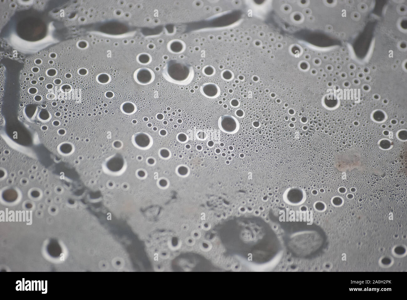 From humidity hi-res stock photography and images - Alamy