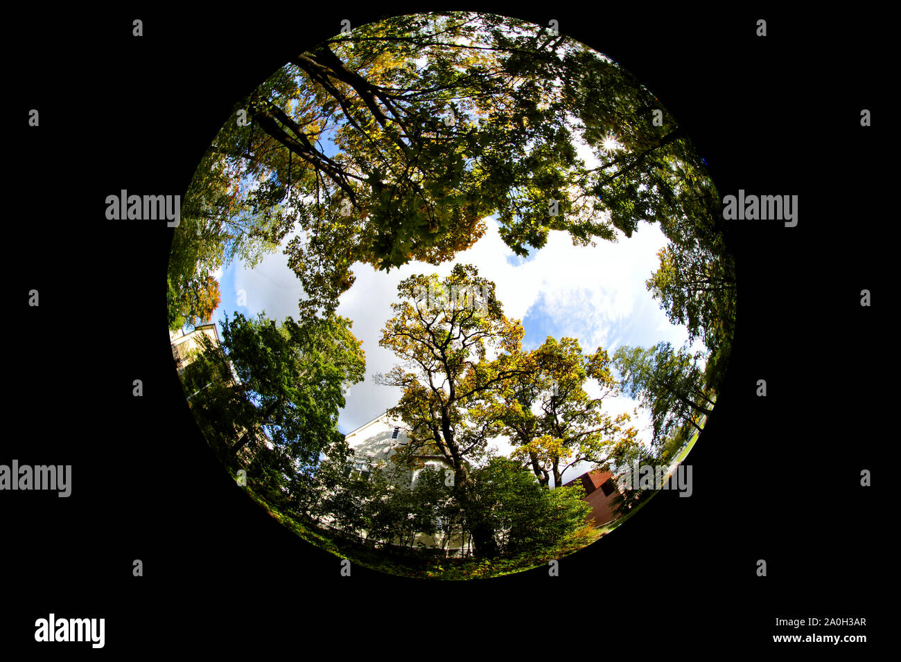 Eye picture hi-res stock photography and images - Alamy