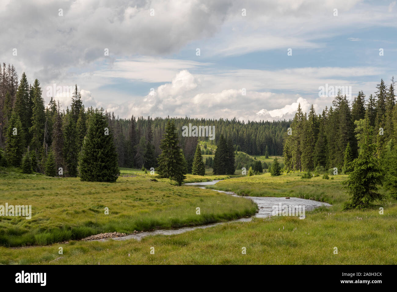 Landschaft im Boehmerwald Stock Photo - Alamy