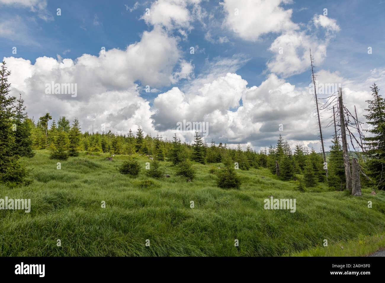 Landschaft im Boehmerwald Stock Photo - Alamy