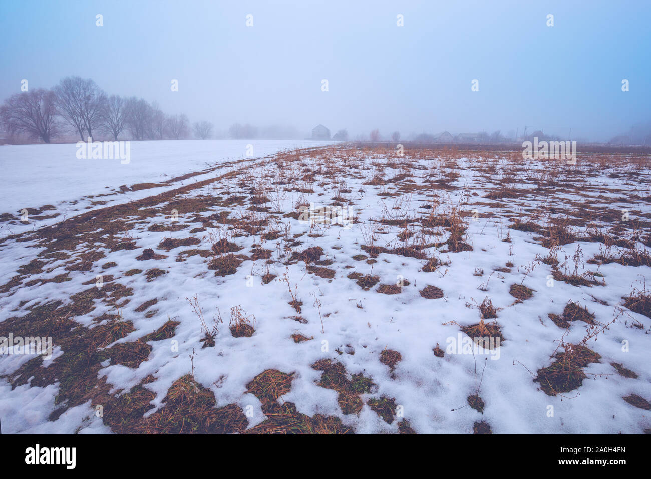 Rural winter landscape. Field сovered with the first snow Stock Photo - Alamy