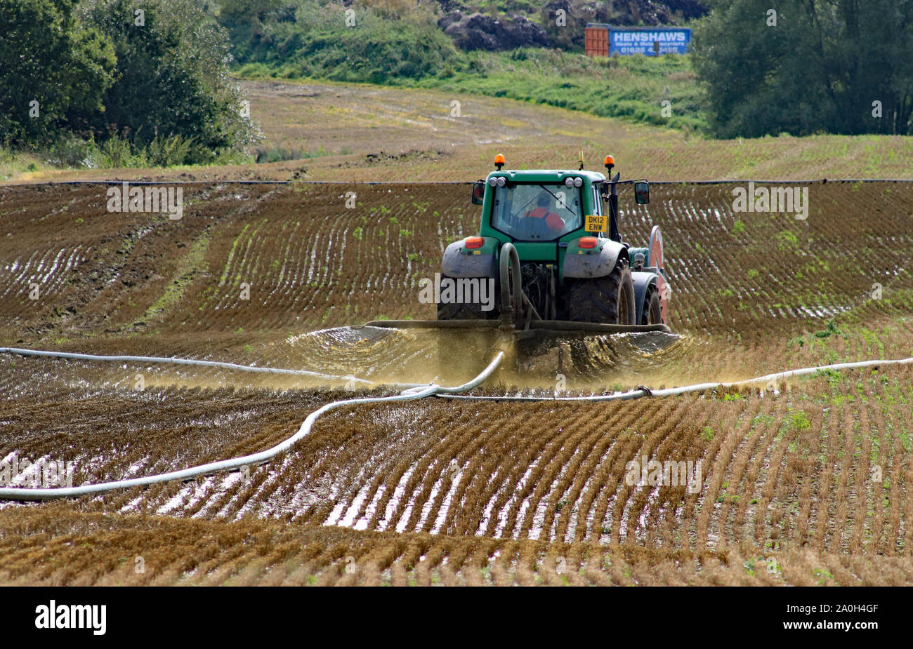 A John Deere tractor drags a hose pipe carrying cattle muck slurry ...