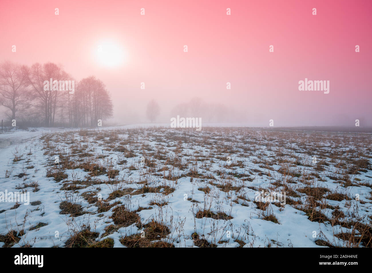 Early misty morning in the countryside. The sun shines through the fog ...