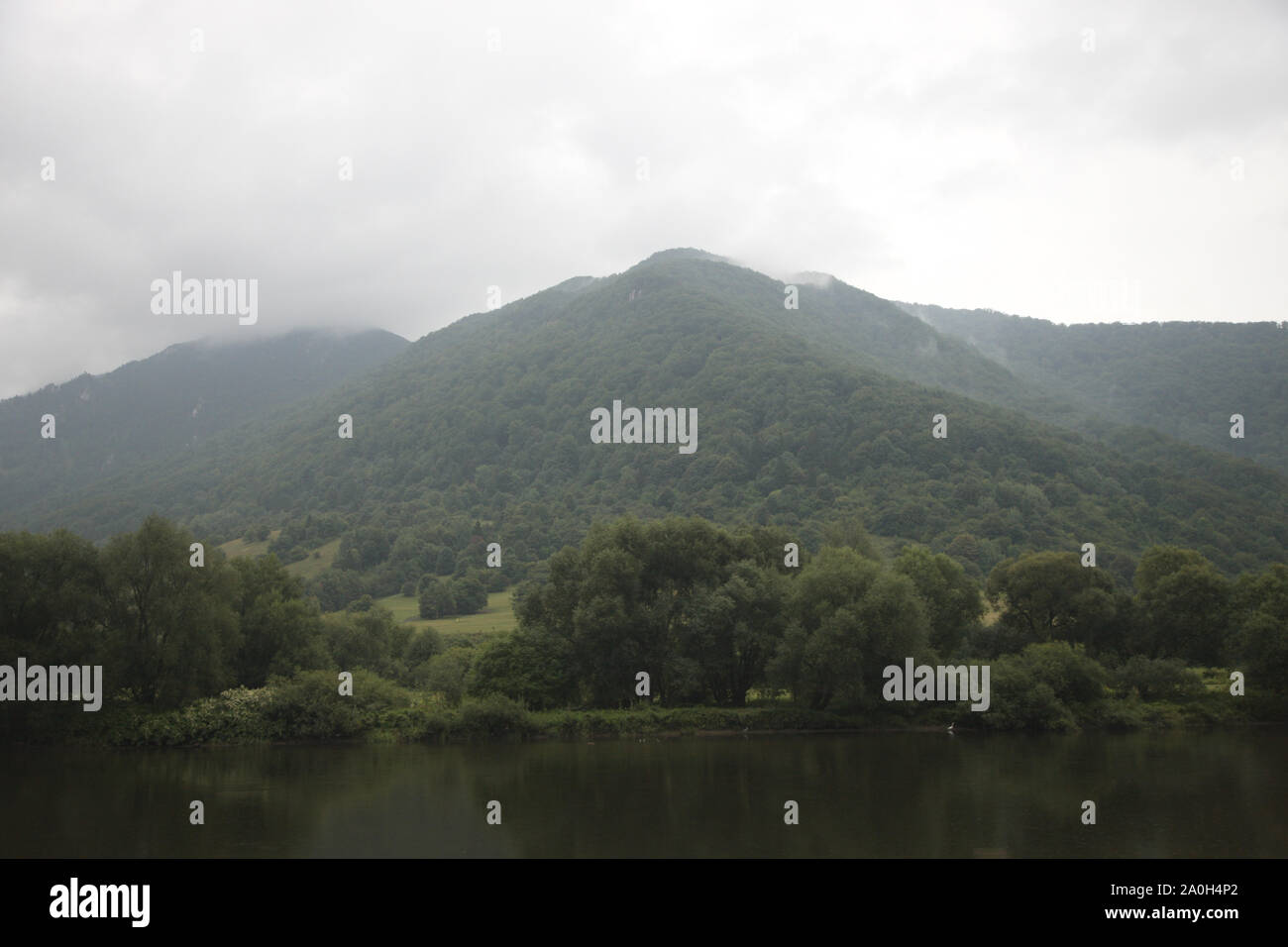 Foothill woodland hi-res stock photography and images - Alamy