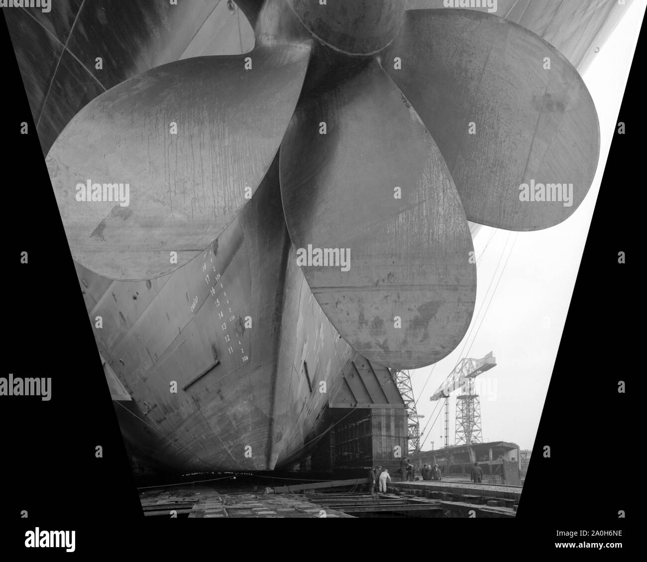 Swan hunter hi-res stock photography and images - Alamy