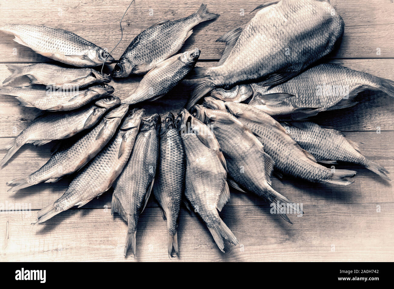 Dried roach lies on the surface of the table Stock Photo - Alamy