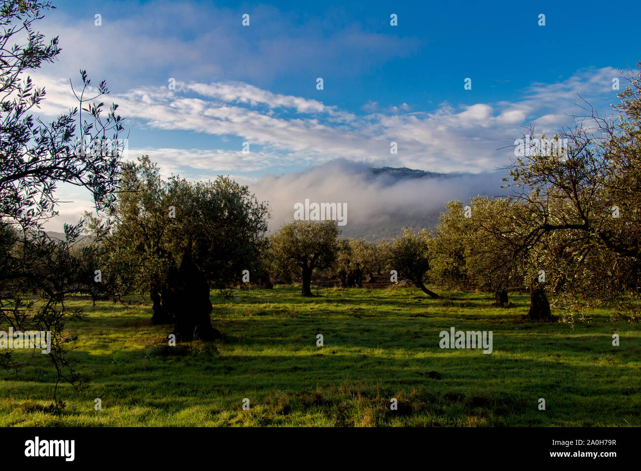 Light shining in israel hi-res stock photography and images - Alamy