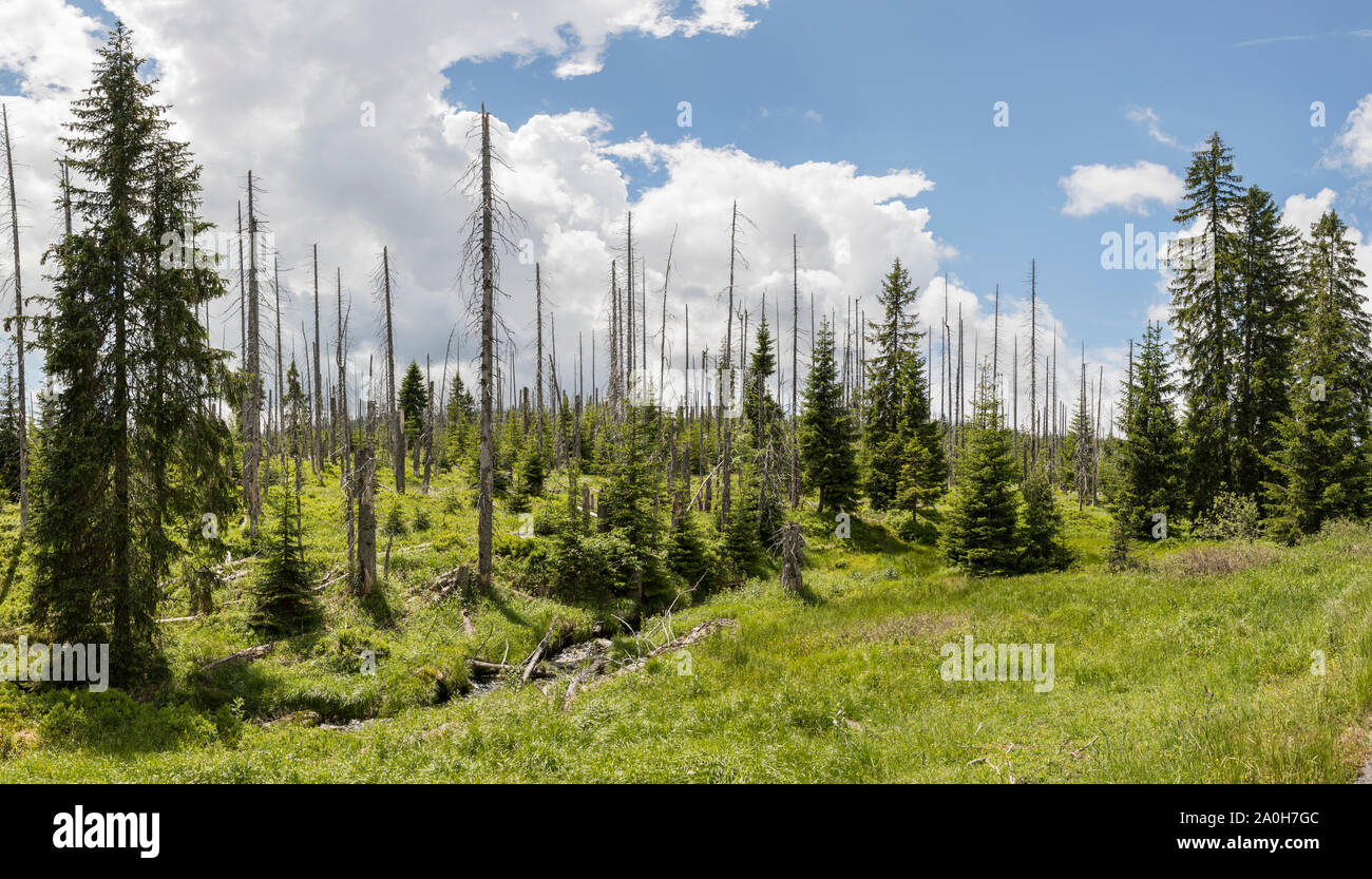 Landschaft im Boehmerwald Stock Photo - Alamy