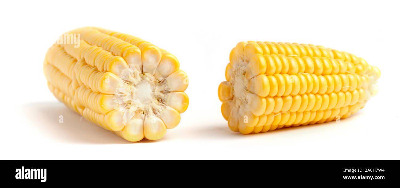Corn isolated on white background Stock Photo - Alamy