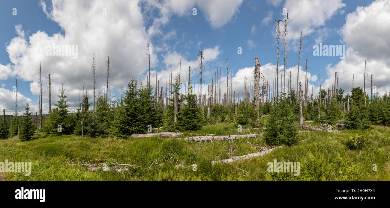 Landschaft im Boehmerwald Stock Photo - Alamy