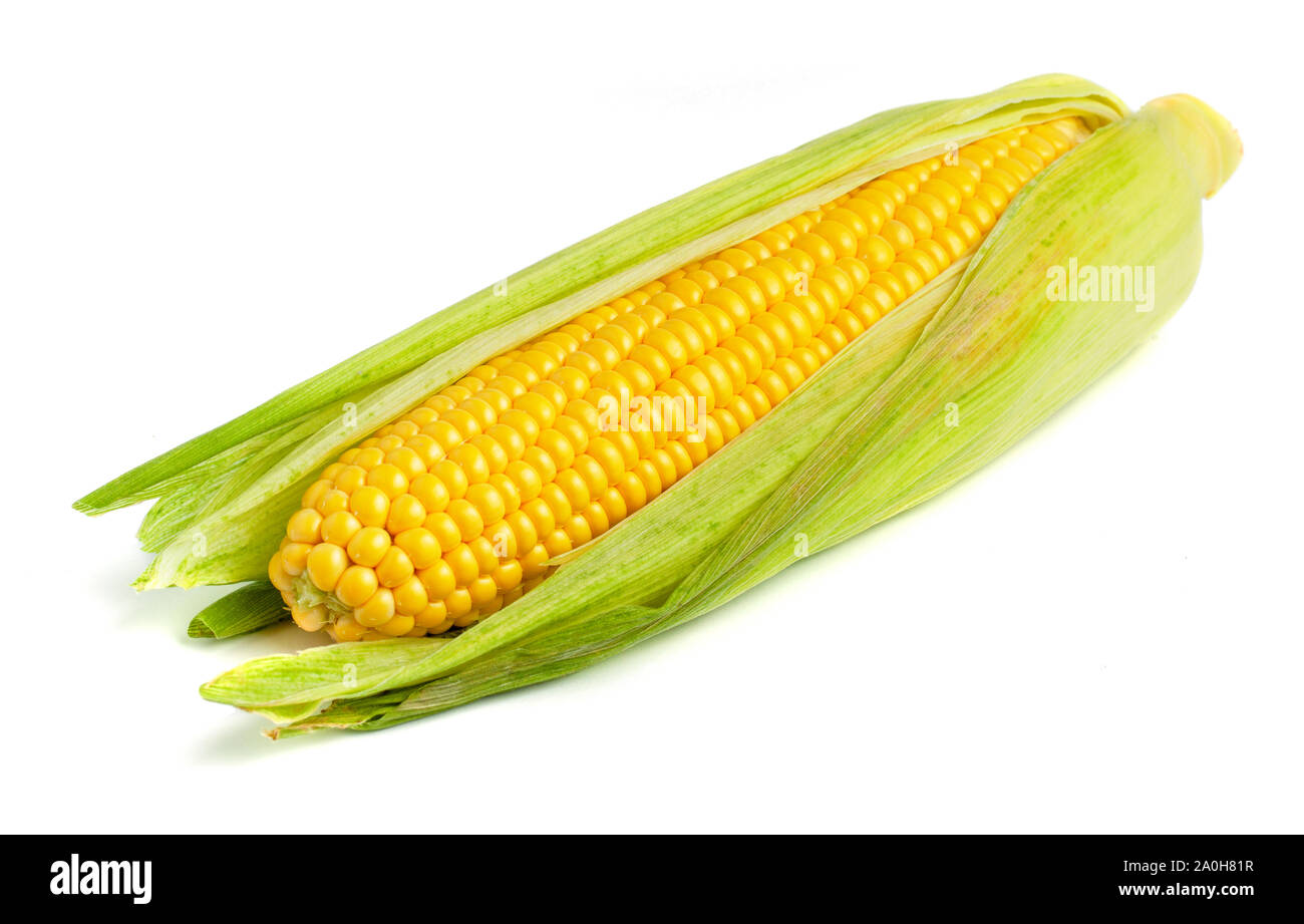 Corn in the leaves isolated on white background Stock Photo - Alamy