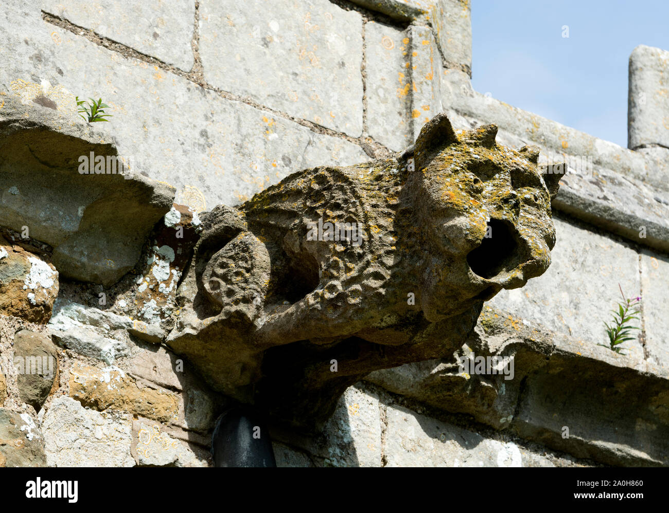 Gargoyle on a church hi-res stock photography and images - Alamy
