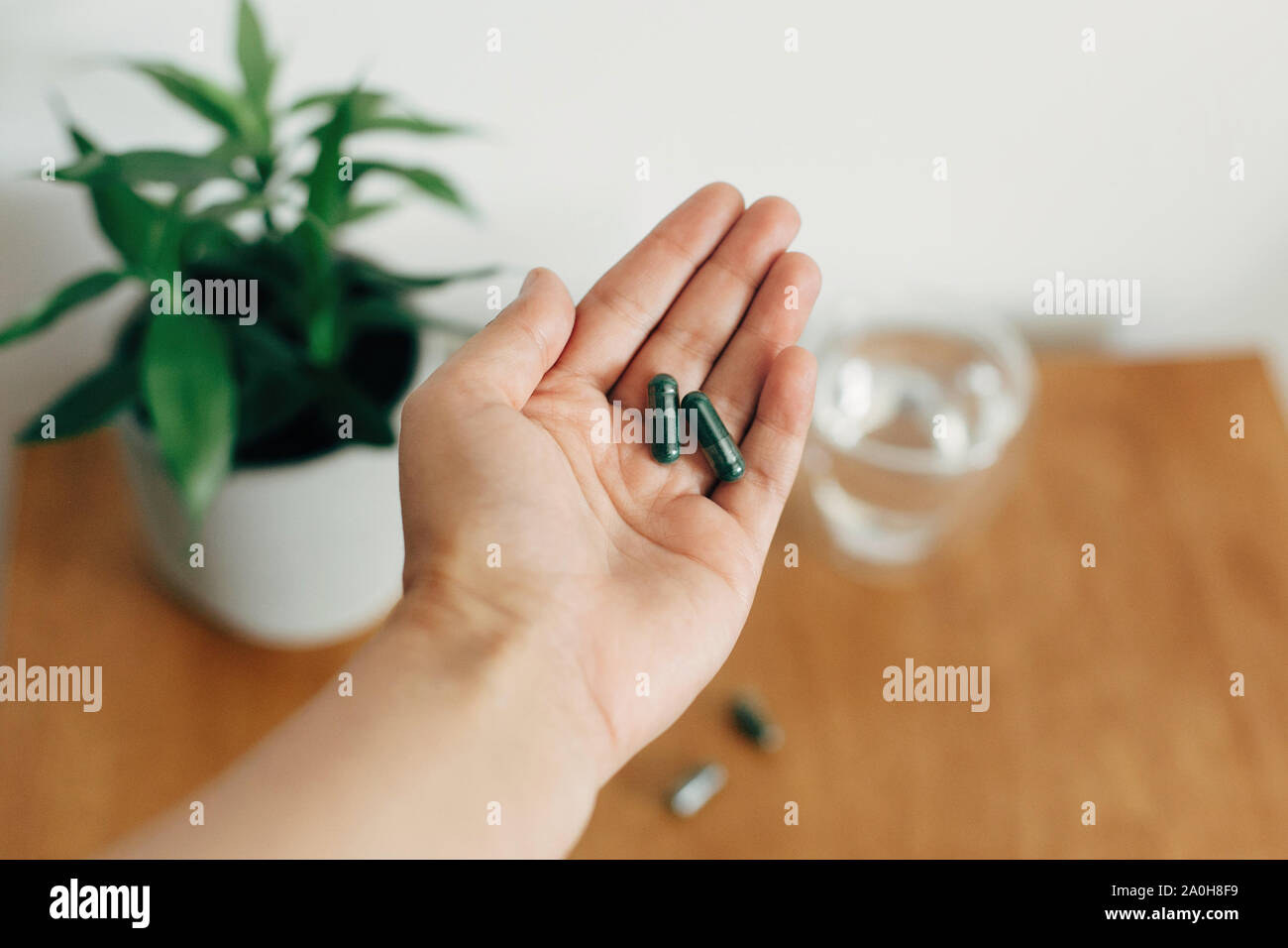 Dietary supplements. Hand holding spirulina capsules above glass of ...