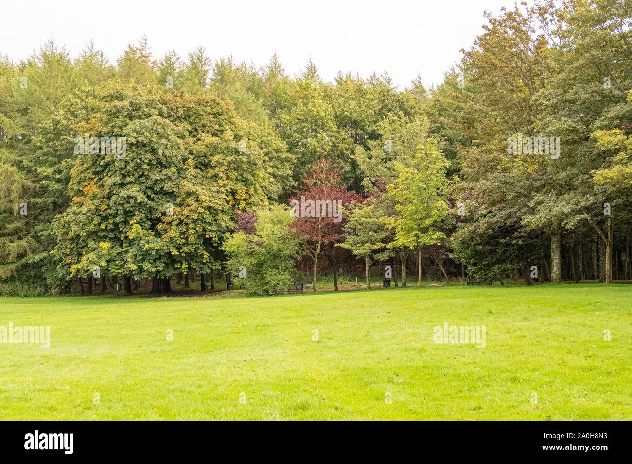 Eglinton Park Irvine in Scotland at the start of Autumn with green ...
