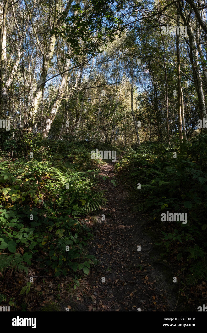 Pooley hi-res stock photography and images - Alamy