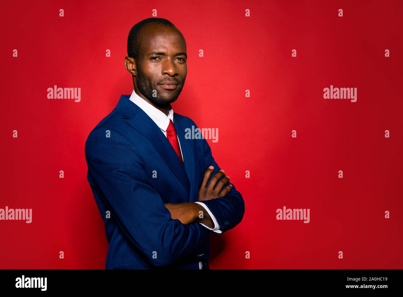 Profile side view portrait of intelligent content calm serious well ...