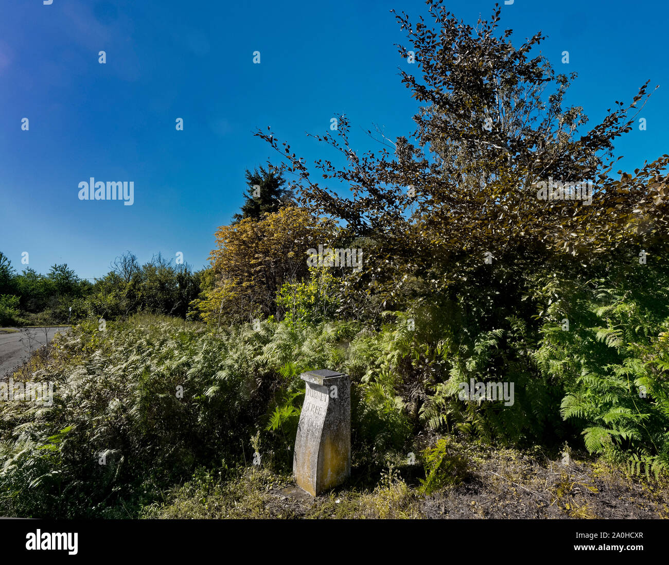 Tubney tree hi-res stock photography and images - Alamy