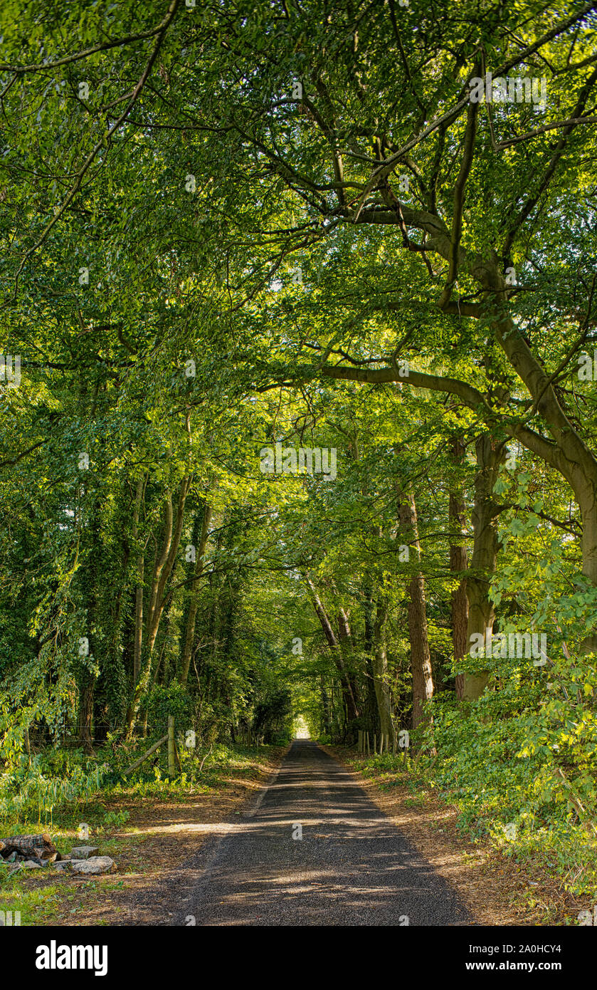 The Old Coach Road, Tubney, Oxfordshire, UK Stock Photo - Alamy