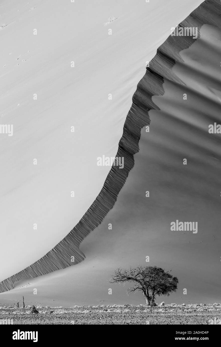 Africa namibia naukluft national Black and White Stock Photos & Images ...