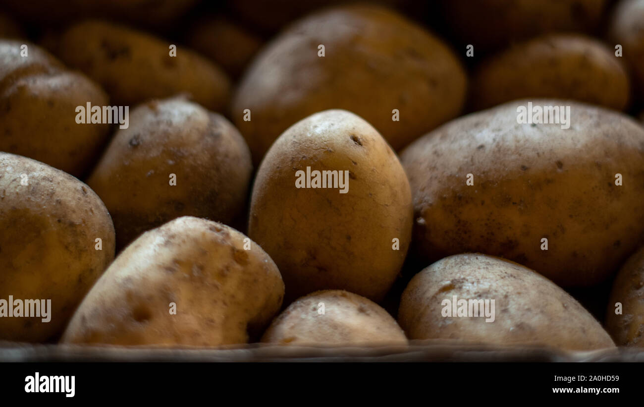 Background image of garden potatoes, Organic nature texture Stock Photo ...