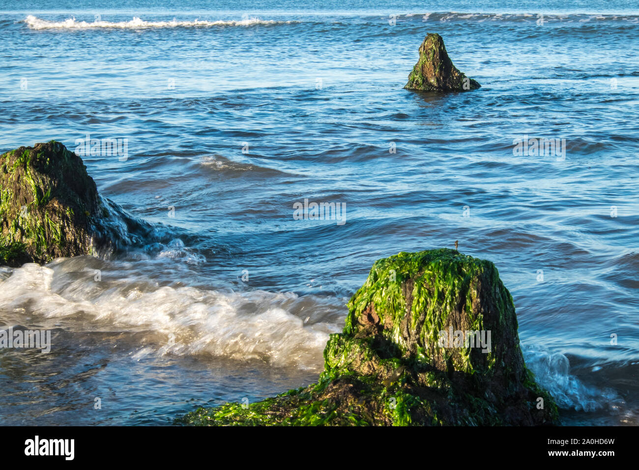 Borth petrified trees hi-res stock photography and images - Alamy