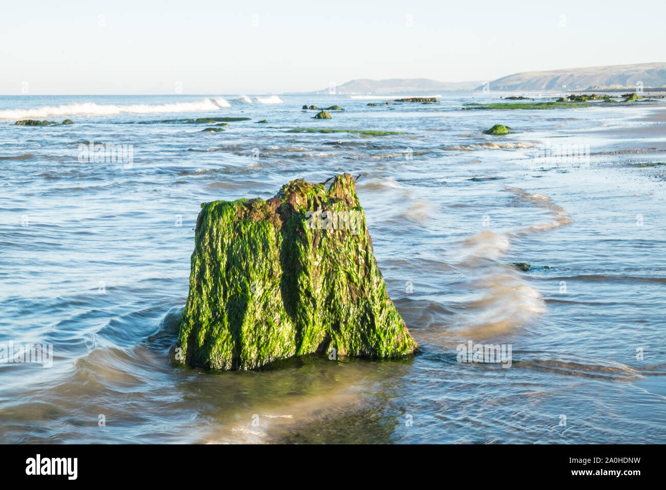 Borth beach stumps hi-res stock photography and images - Alamy