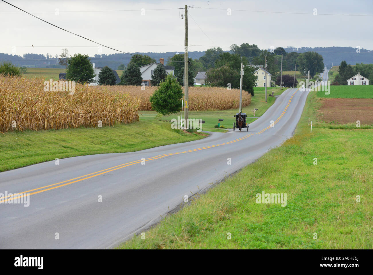 An Amish carriage driver in Pennsylvania Stock Photo - Alamy