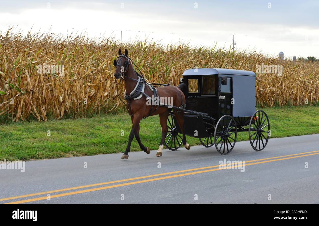 Amish carriage wheels hi-res stock photography and images - Alamy