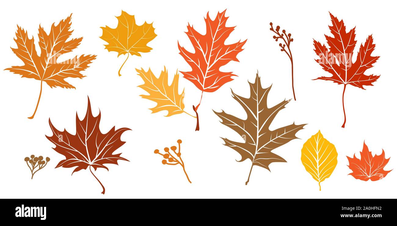 Autumn leaves silhouette isolated Stock Vector Image & Art - Alamy