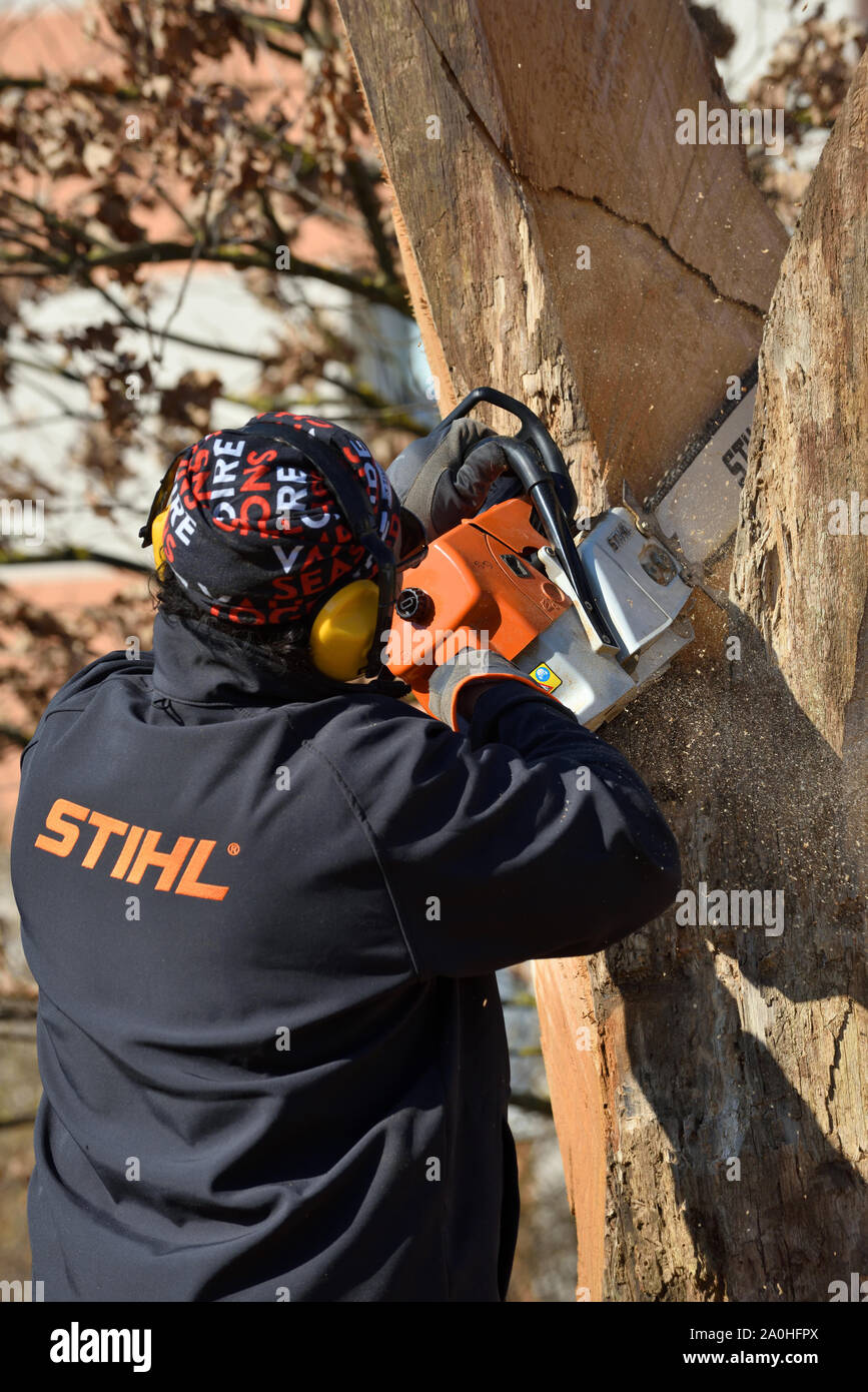 Professional lumberjack cutting tree on hi-res stock photography and ...