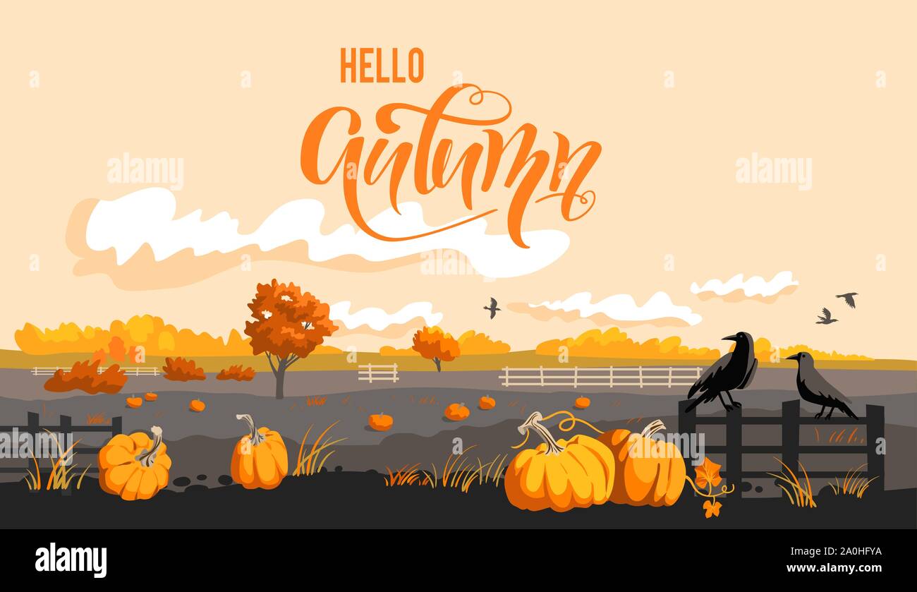 Autumn countryside landscape Stock Vector Image & Art - Alamy