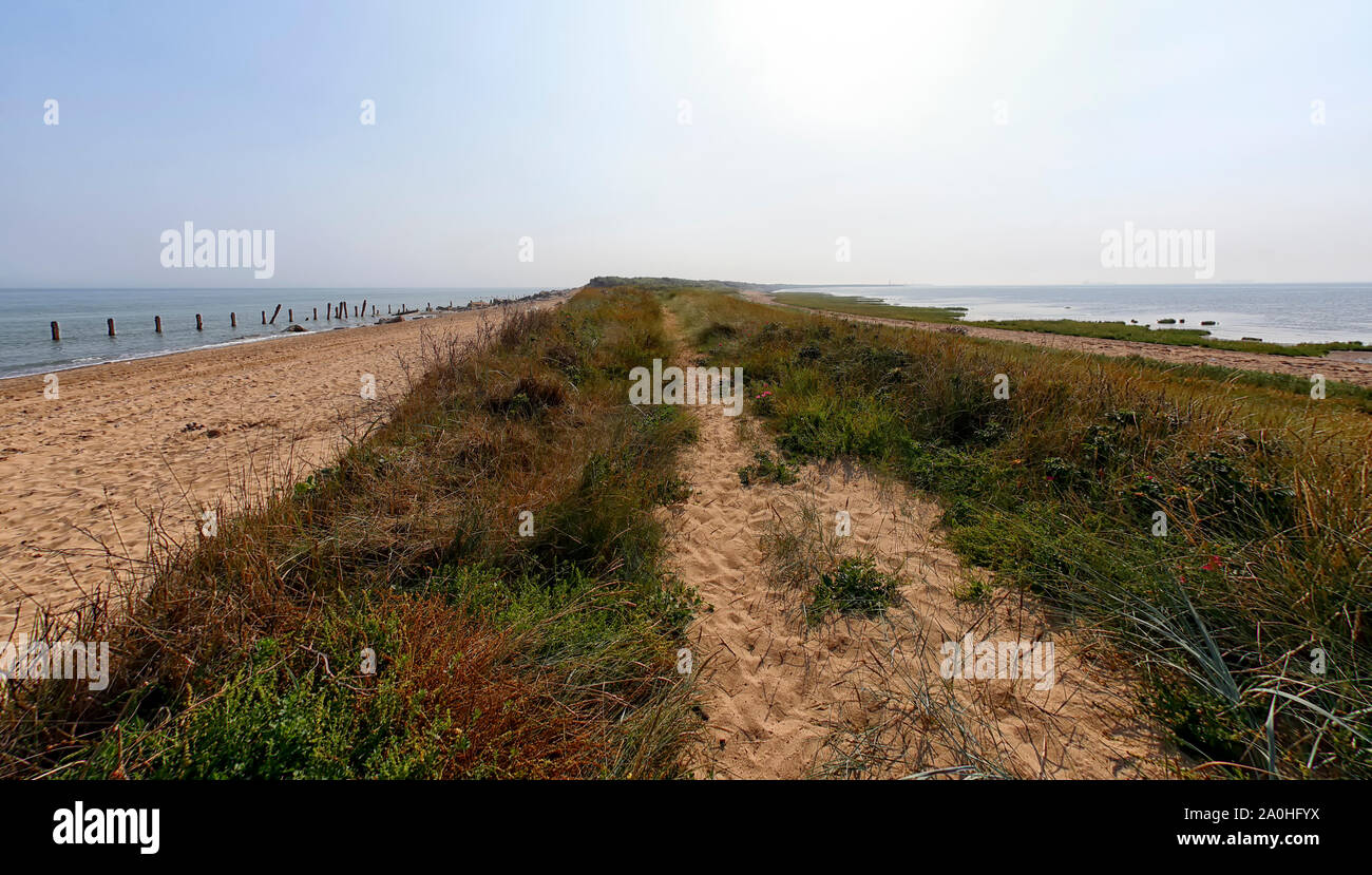 Spurn Nature reserve, Kilnsea East Yorkshire, Looking towards Spurn ...