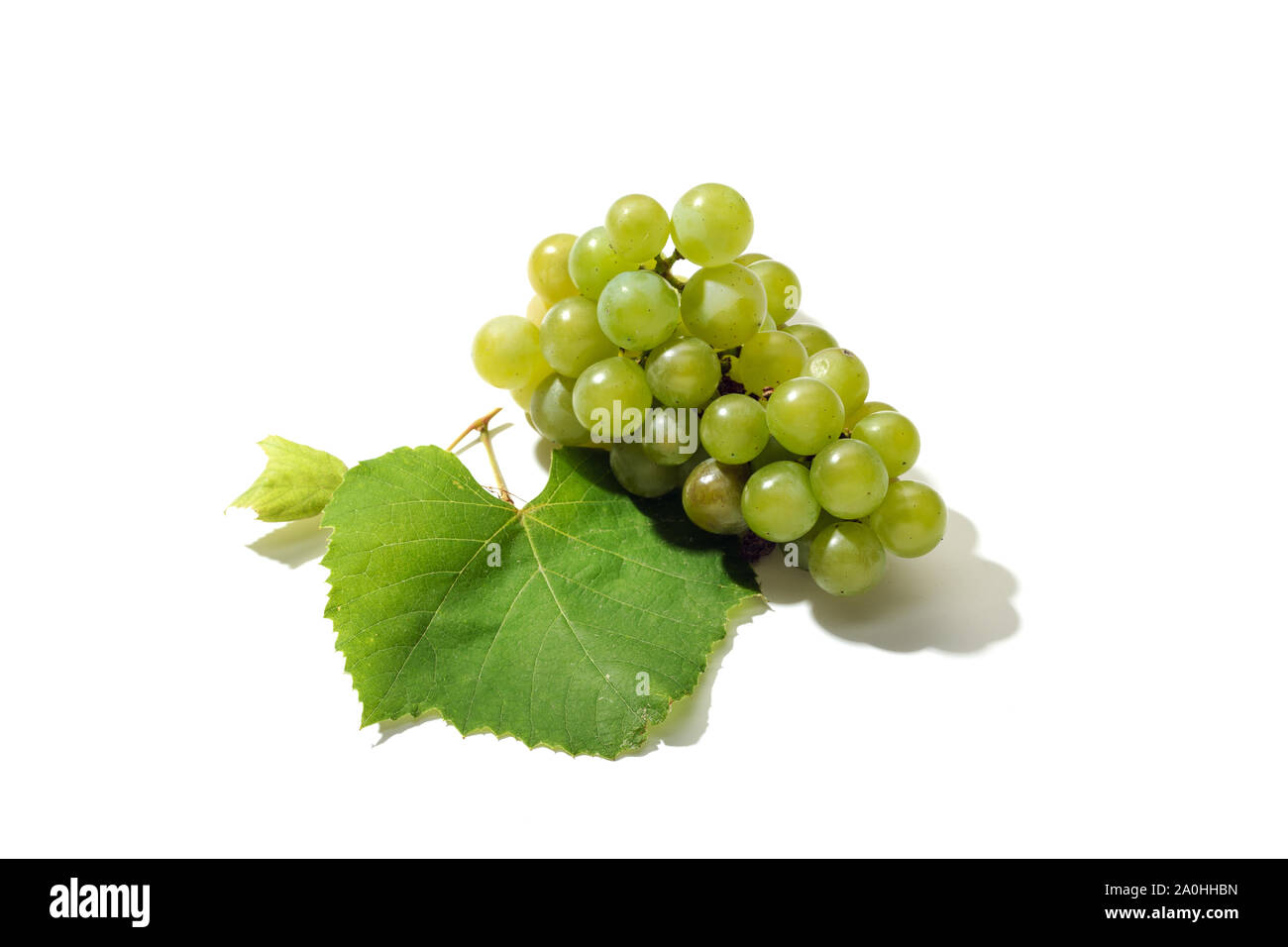 Fresh white grapes isolated on white background. White Grapevine Stock ...