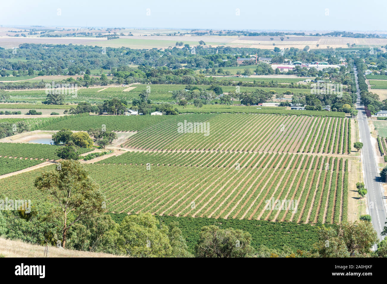 Winery in Barossa Valley in South Australia Stock Photo - Alamy
