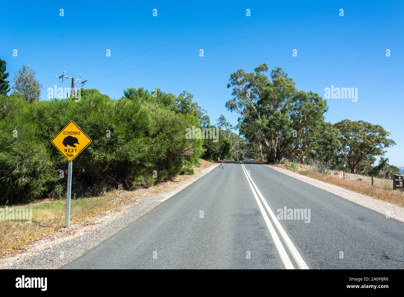 ‘Echidnas Crossing. Next 1km’ road sign in Australia Stock Photo - Alamy